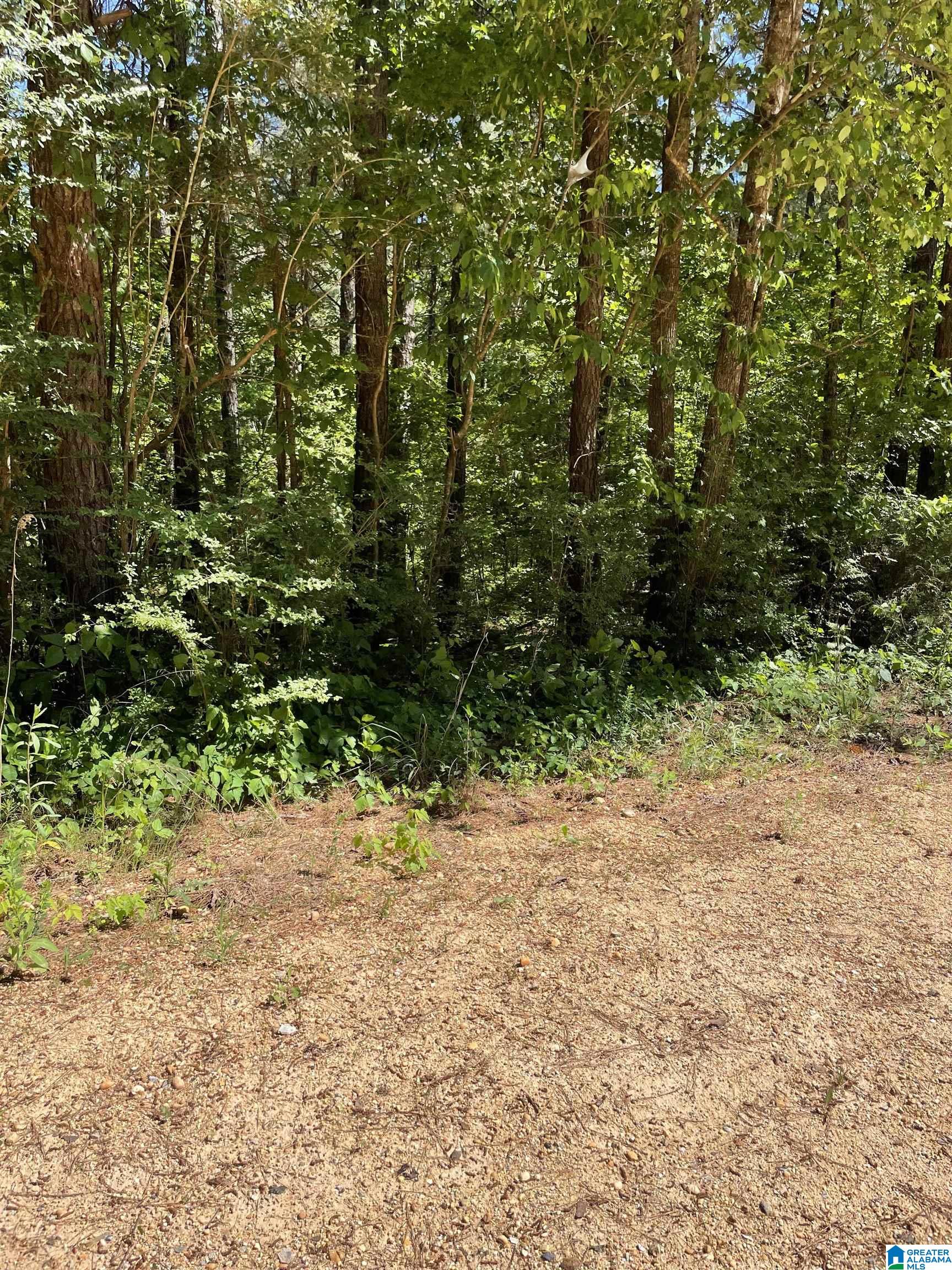 2 COUNTY ROAD 253 #2, CLANTON, 35046