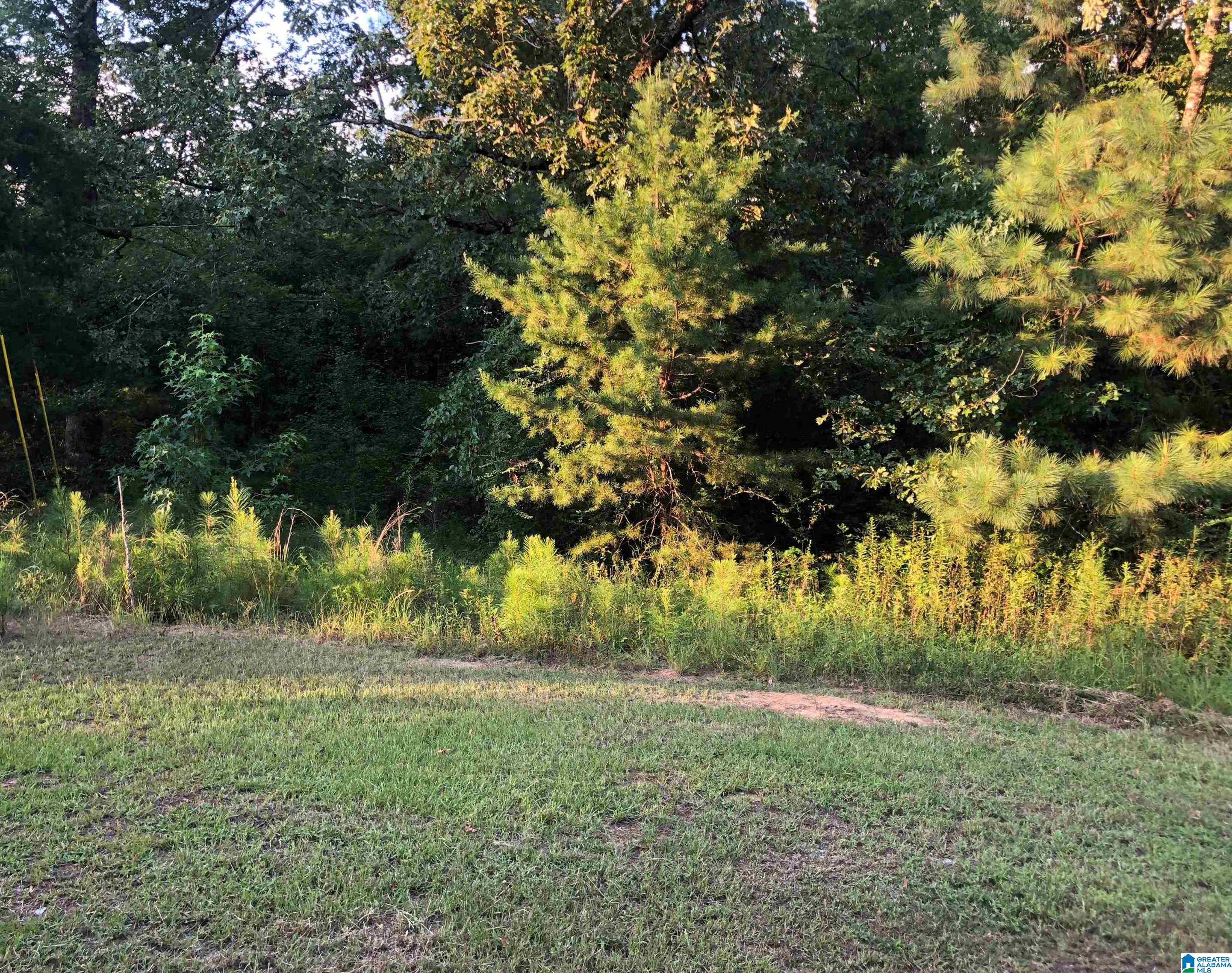 7546 COLONIAL TRACE CIRCLE BESSEMER : Tutt Real Estate