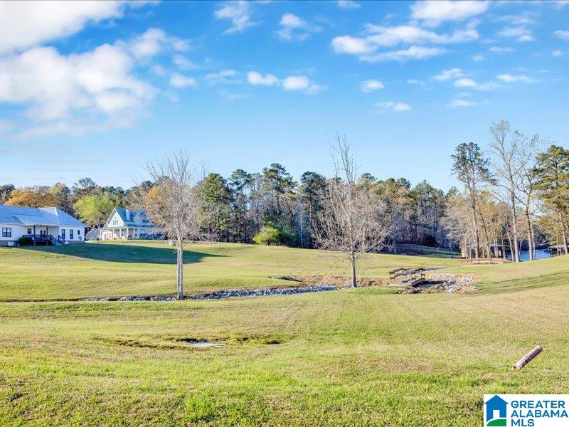 Lot 2 SALSER LANE COLUMBIANA : Tutt Real Estate