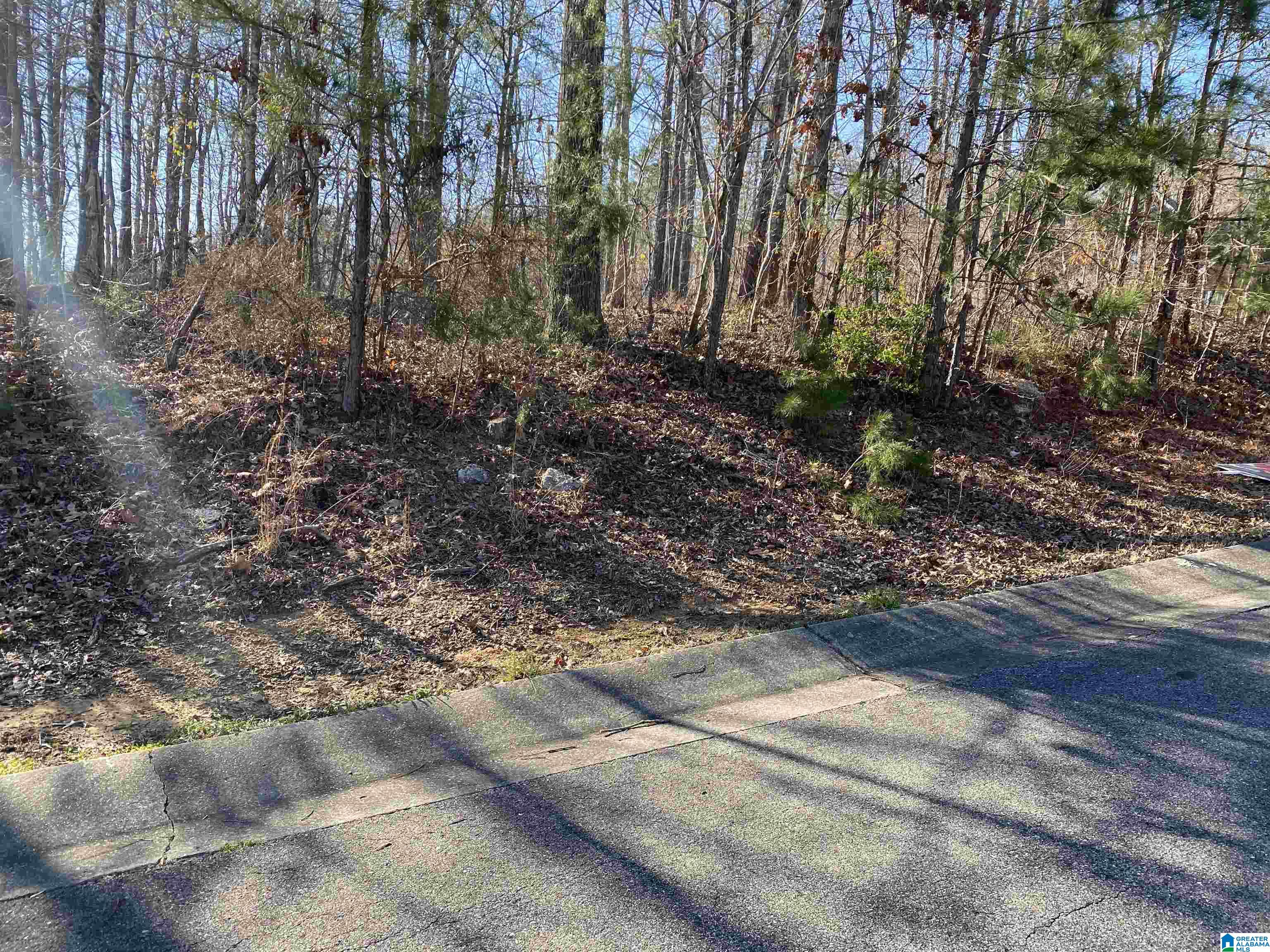 8139 WILLOWBROOKE TERRACE TRUSSVILLE : Tutt Real Estate