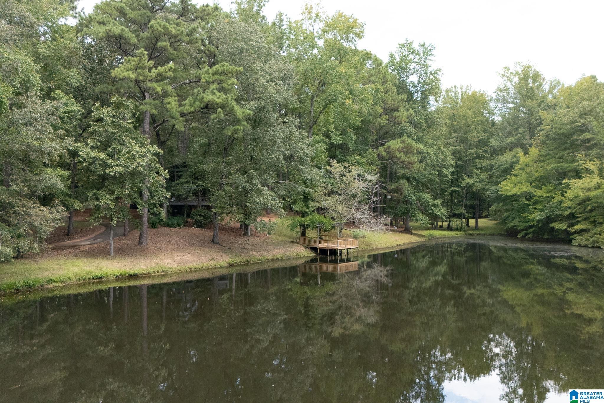 1460 COUNTY ROAD 36 CHELSEA : Tutt Real Estate