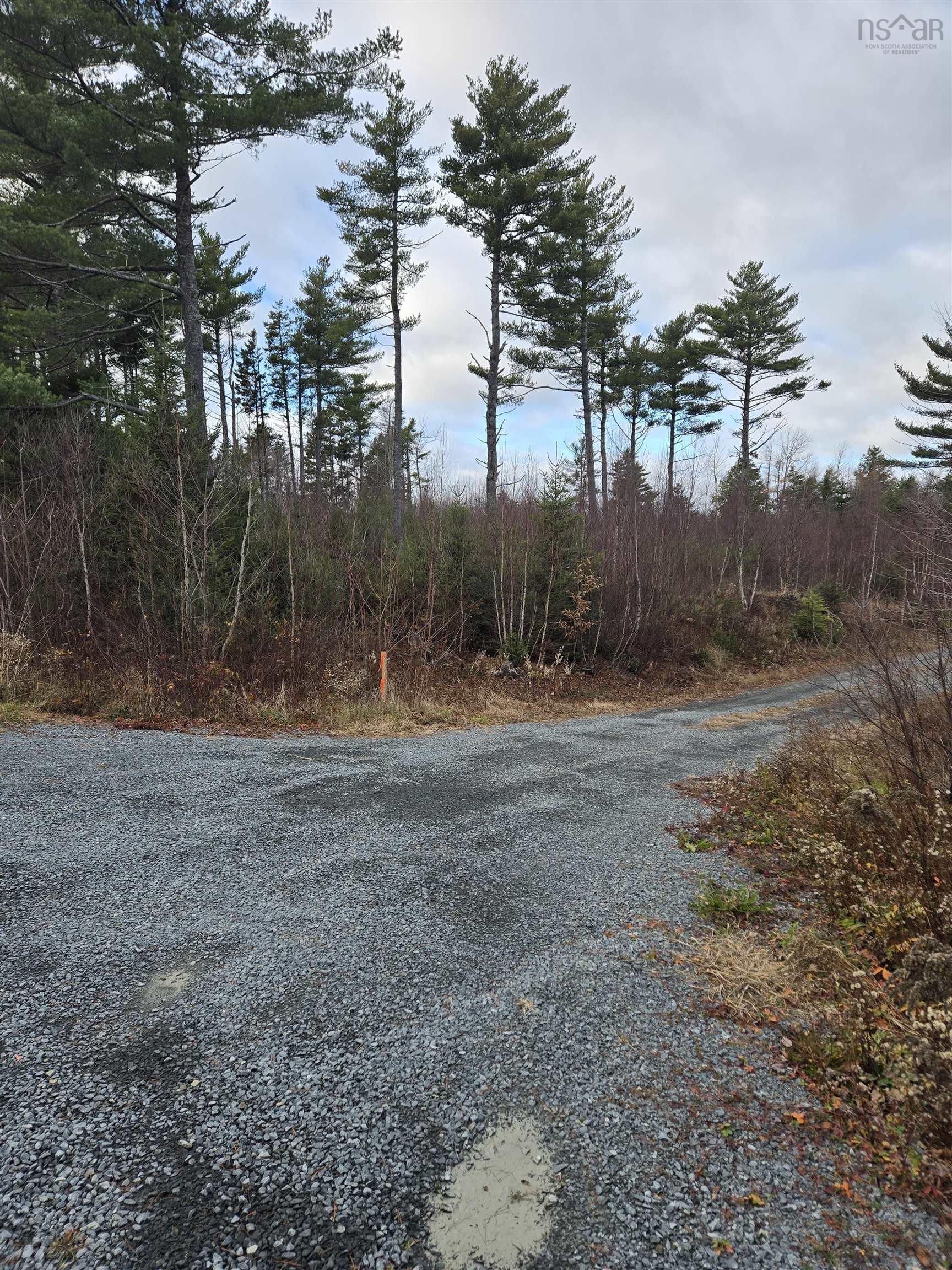 Lot P-1 Baker Road, Mount Pleasant, NS (MLS® 202600752) | Mount Pleasant Real Estate | RE/MAX ...